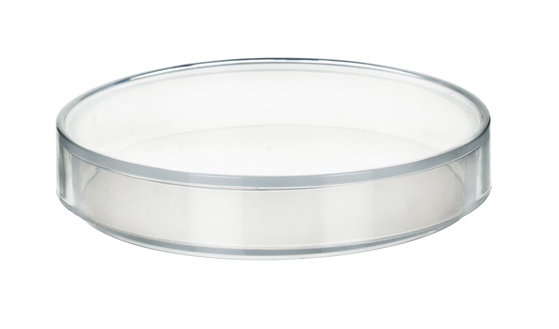 100 X 11mm Plastic Petri Dish Polypropylene Single Dish Walmart 100 X 11mm Plastic Petri Dish Polypropylene Single Dish Walmart