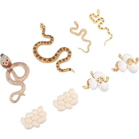 2 Sets Snake Growth Figures Educational Animal Growing Toy Reptile ...