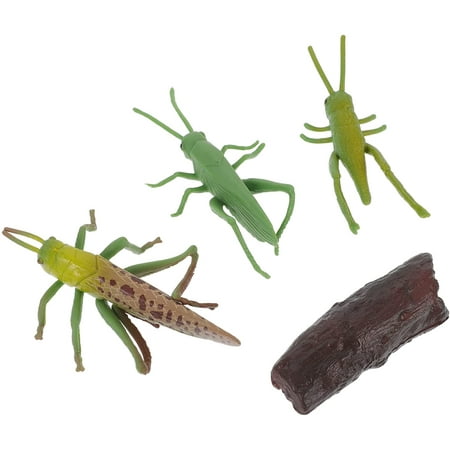 Insect Figurines Locust Life Cycle Toy Insect Growth Cycle Model ...
