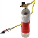 Free Shipping! Pro Flush Flushing Solvent Kit - Walmart.com - Walmart.com