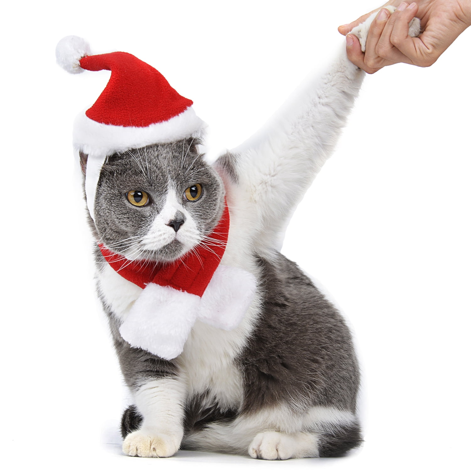 Legendog Christmas Pet Costume Cute Adjustable Santa Hat with Scarf for ...
