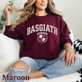 Basgiath War College Sweatshirt, Fourth Wing Sweater, Dragon Rider ...