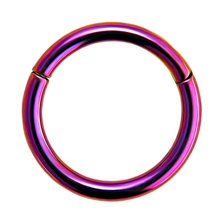 20 Gauge ( 0.8mm ) - 9mm Diameter 316l Surgical Steel Hinged Clicker Segment Nose Ring Piercing ...