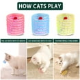 BESTSKY 2026 New 6Pcs Colorful Cat Spring Toys Portable Kitten Teaser ...