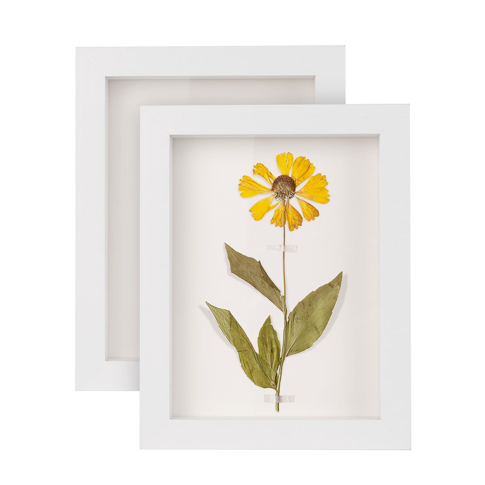 Shadow Box Picture Frame 7" x 9", Display Frame Photo Frames 2 Pack ...