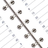 AT-A-GLANCE DayMinder 2025 Daily Appointment Book Planner Black Small 5 ...