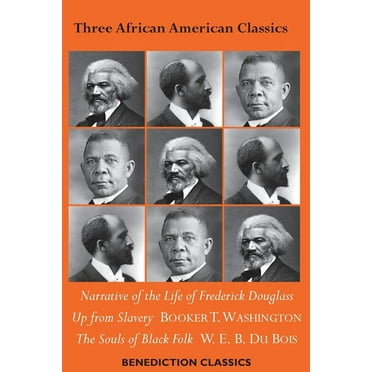The History of the Civil Rights Movement: The Story of the African ...