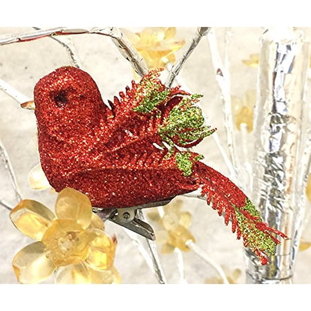 BANBERRY DESIGNS Bird Ornaments - Set of 24 Clip-On Birds - Package ...