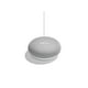 Google Home Mini (Gen. 1) - Walmart.com