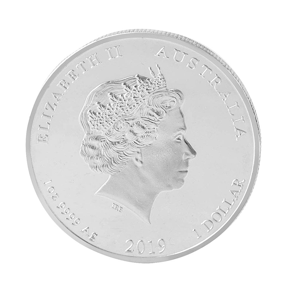 Click here for Aidm Commemorative Coin Pig Year Elizabeth Souveni... prices