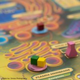 Cytosis: A Cell Biology Game | Educational Science Accurate Board Game ...