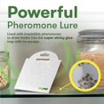 BugMD Pantry Pest Patrol (6 Count, White) - Moth Traps for Kitchen ...