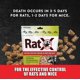 RatX® Rodent Control Pellets, Rat and Mouse Killer, 18 oz - Walmart.com