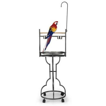 Prevue Pet Products Coffeawood Java Tree Small Floor Playstand Style #2 ...