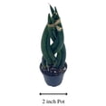 Braided African Spear Plant, Cylindrical Snake Plant, Spear sansevieria ...