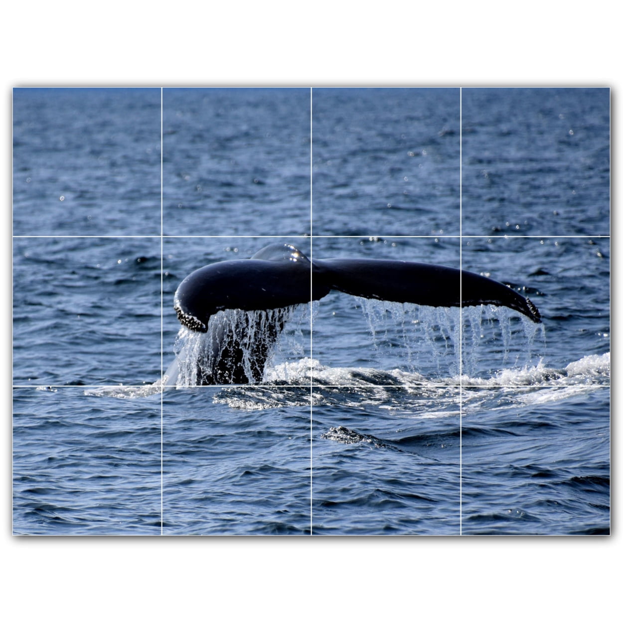 Picture-Tiles.com: Whale Ceramic Tile Wall Mural WAL501195-43XL. 48"W x ...