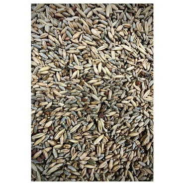 Certified Rex Rice Seed - 10 Lbs. - Walmart.com