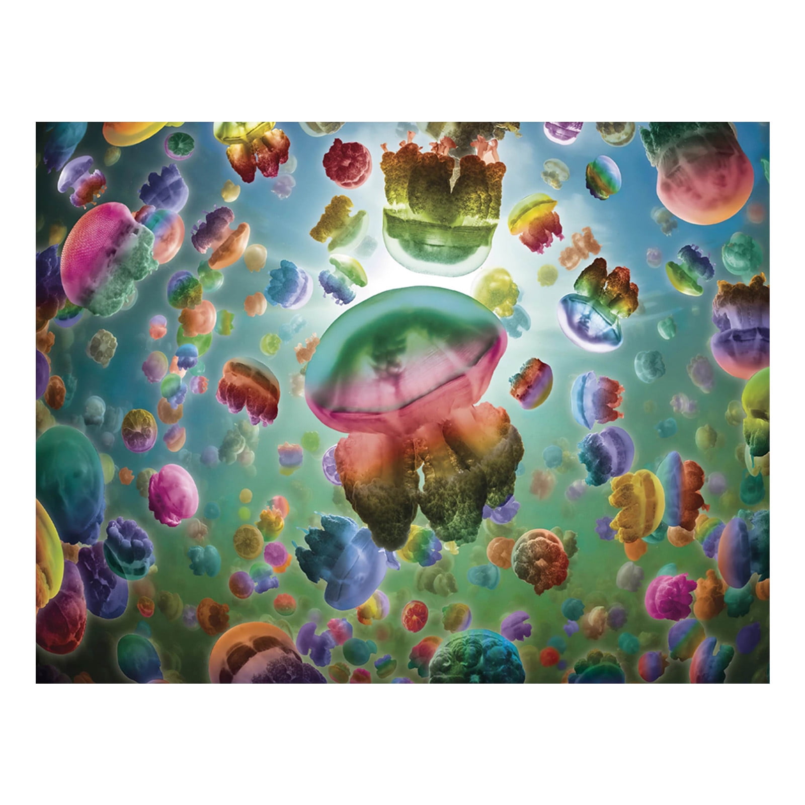 Furryjoy 2000 Piece Challenging Puzzle For Adults And Kids Family Holiday Activity Intellectual Development Educational Toy One Size