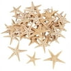 Coco Midrib Sea Shell Pack: Natural, 10 inches - Walmart.com