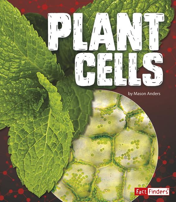 Genetics: Plant Cells (Hardcover) - Walmart.com