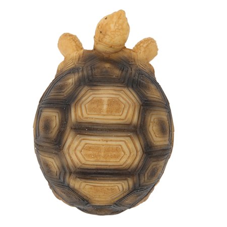 Tortoise Ornament, Vivid Design Free Placing Tortoises Decoration For ...