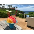 Hypothermias Piña Colada Shaved Ice and Snow Cone Unsweetened Flavor ...