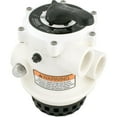Pentair 261124 TA 1.5 Inch Multiport Backwash Tagelus Pool Spa Sand ...