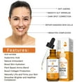 3 Pack Professional C Serum 10 Vitamin C Facial Serum With Concentrated 10 L Ascorbic Acid
