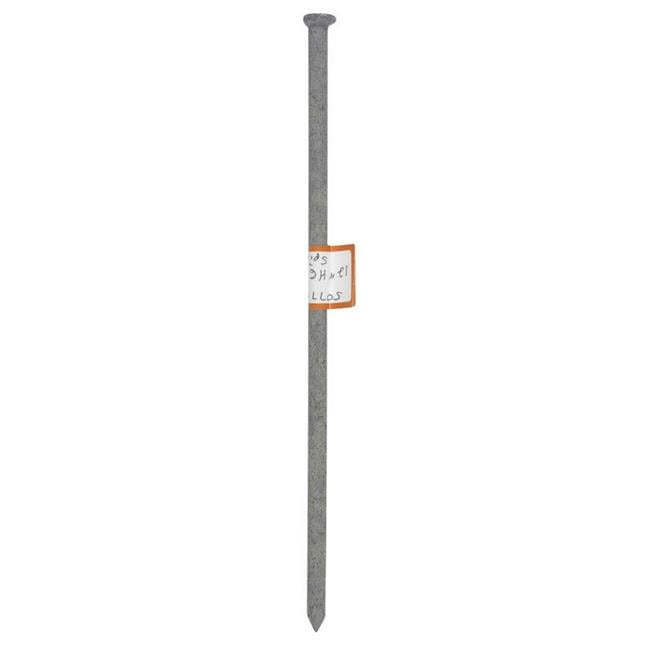 National Nail 0054282 12 in. Nail Hot Dipped Galvanized Smooth Spikes ...