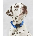 1in Dapper Dog 16-28 Adj Dog Collar - Walmart.com
