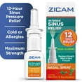 (2 pack) Zicam Intense Sinus Relief No-Drip Relief Nasal Spray with ...