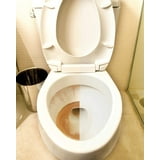 Iron OUT Rust Tablets, Automatic Toilet Bowl Cleaner, Hard Water Stains ...