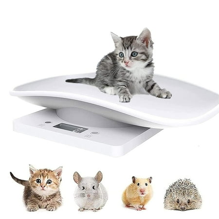 Digital Pet Scale , Multifunctional LcD Electronic Kitchen Food Scales ...