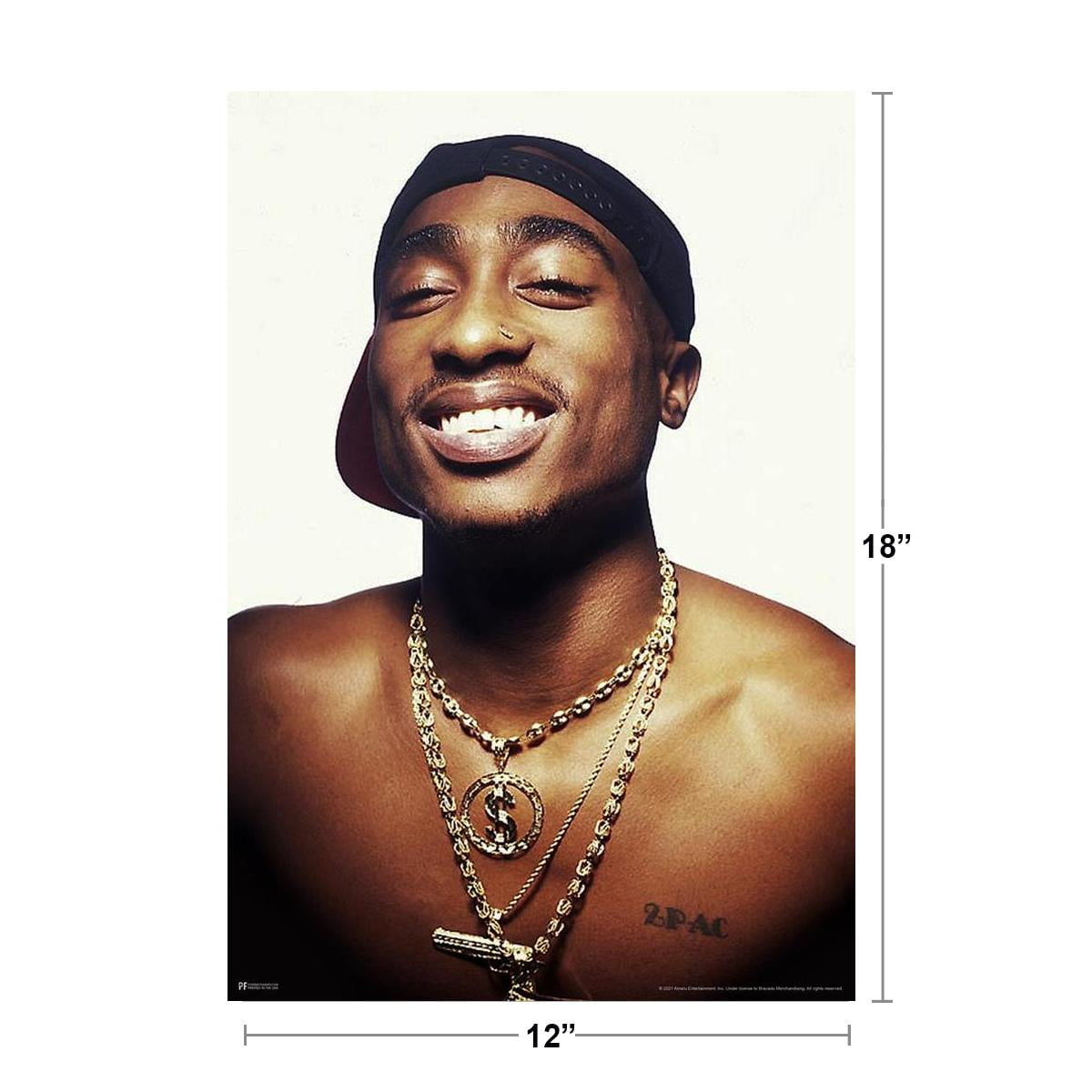 Laminated Tupac Posters 2Pac Poster Gold Chains Portrait, 40% OFF