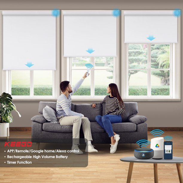Keego Motorized Shade Remote Control App Control Voice Control Silent ...