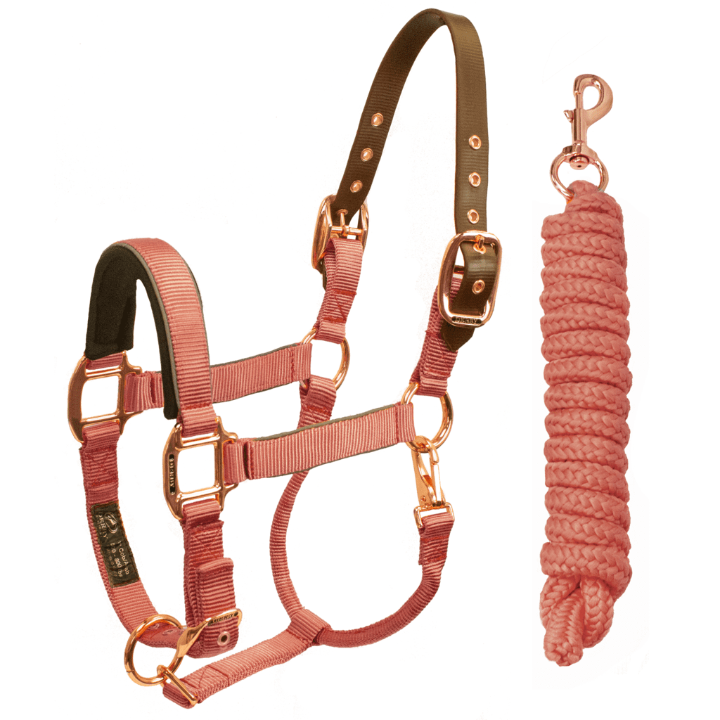 Derby Originals Desert Rose Collection Rose Gold Reflective Safety Flex ...