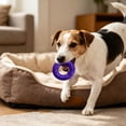 Ring Dog Chew Toy, Durable Rubber with 3 Texture Zones for Aggressive ...