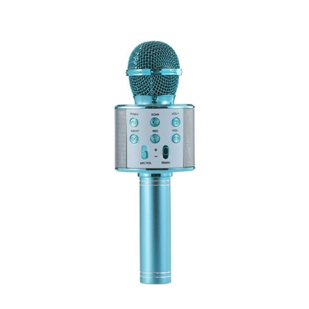 SPARK KARAOKE MICROPHONE, My First Microphone - Walmart.ca