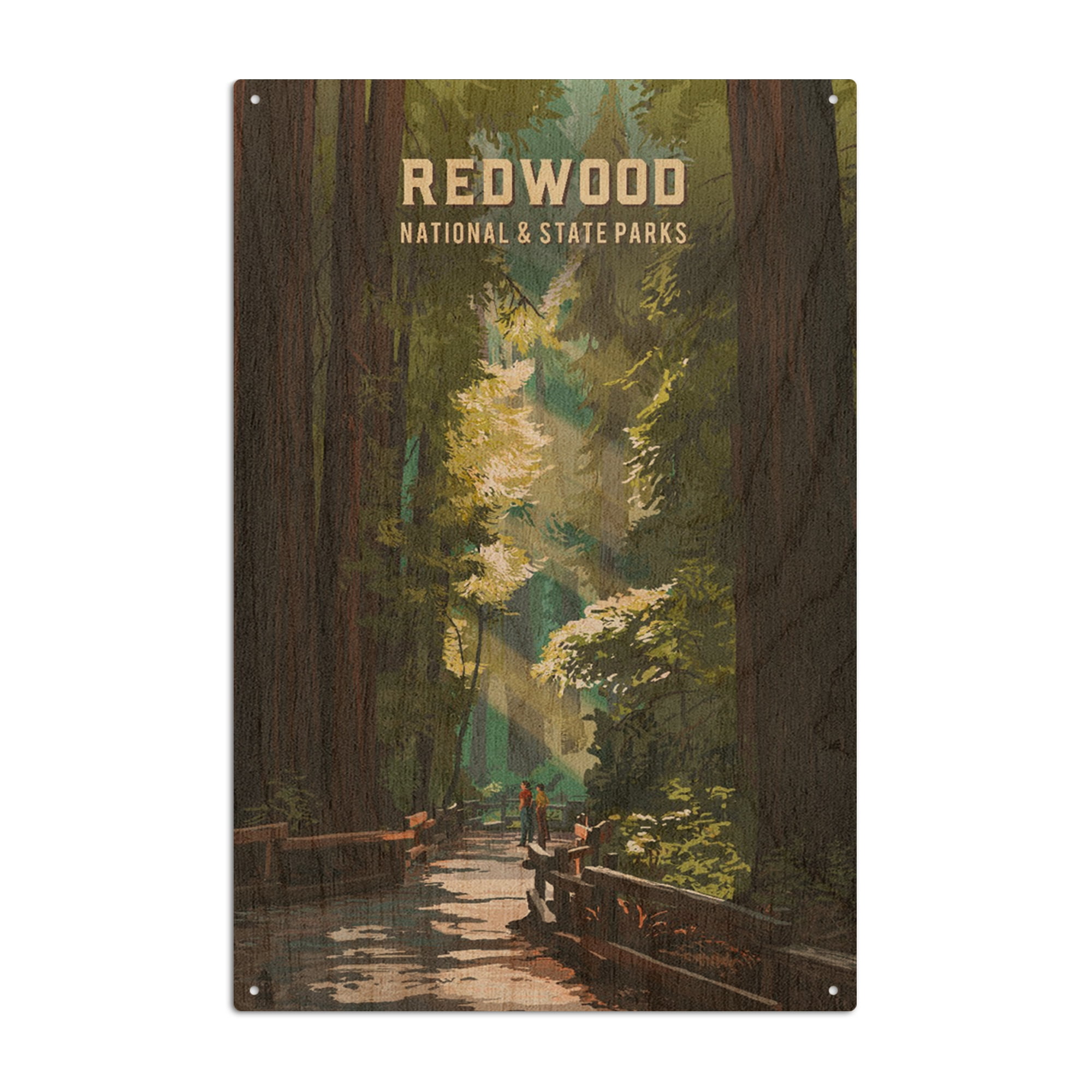 Redwood National and State Parks, California, Painterly National Park ...