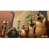 The Nut Job (DVD) - Walmart.com