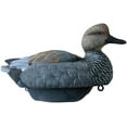 Gadwall Duck Decoys by Heyday – Ultra-Light 100% HydroFoam | Durable ...