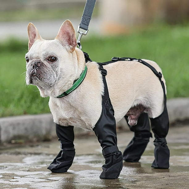 Suspender Boots for Dogs,Adjustable Dog Pants,Dog Paw Protector for ...