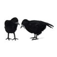 Realistic Crows Halloween Decoration Black Feathered Crows, 6 Pack ...