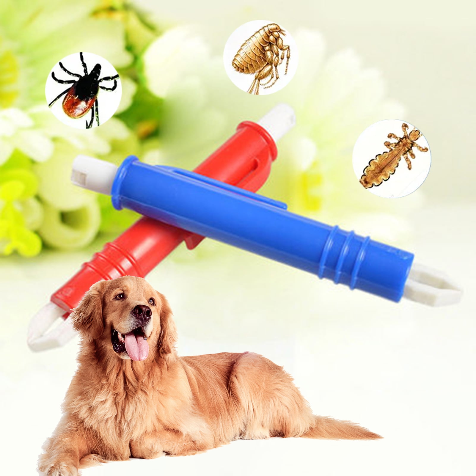 Dog Ticks Removal