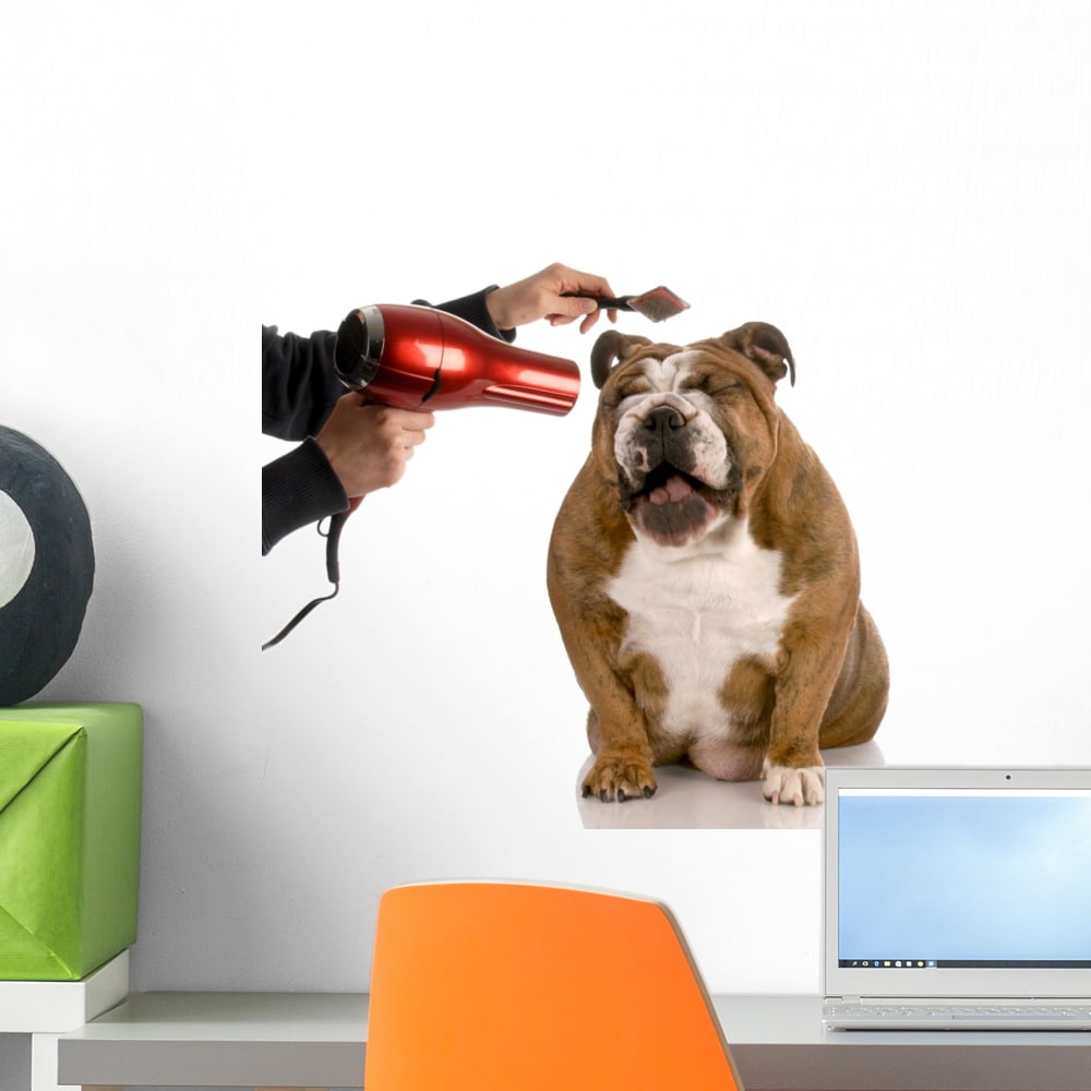 Dog Grooming Wall Decal by Wallmonkeys Peel and Stick Graphic (18 in W ...