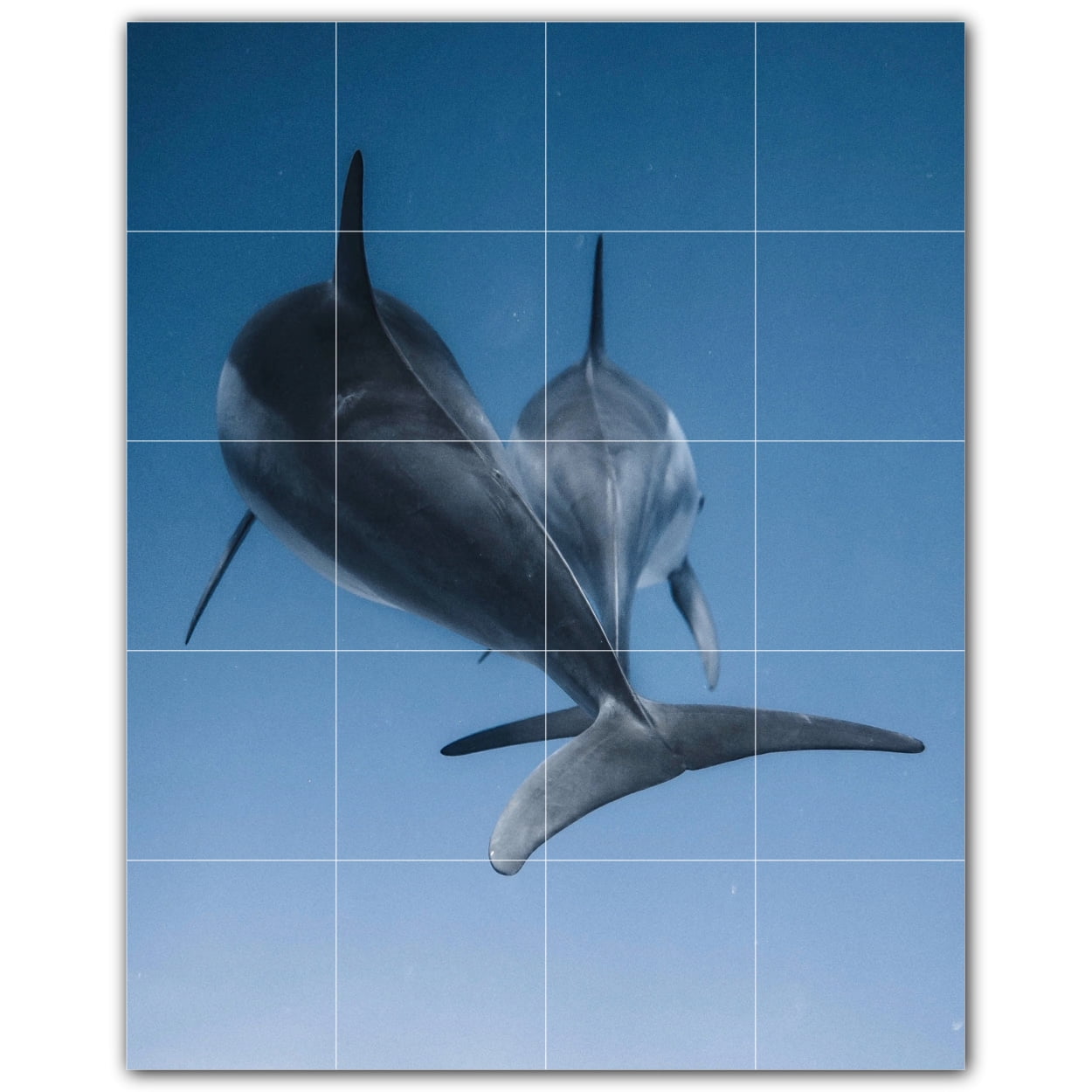 Picture-Tiles.com: Dolphin Ceramic Tile Wall Mural WAL500515-45M. 24"W ...