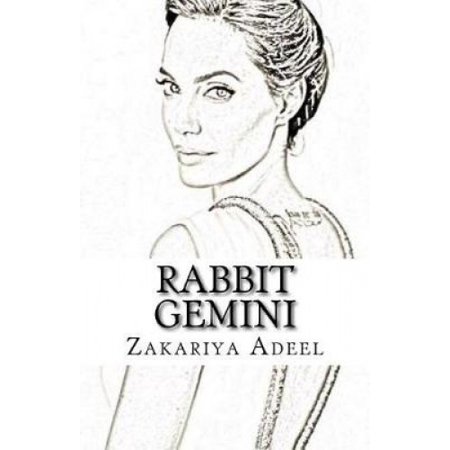 Rabbit Gemini: The Combined Astrology Series | Walmart Canada