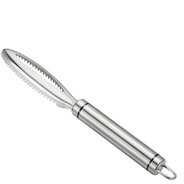 Fish Scaler Brush,Faster and Easier Fish Scales Skin Removing Peeling ...