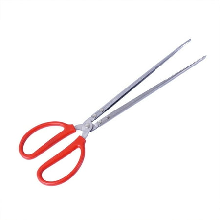 Reptile Feeding Tongs, 11inch/15inch Long Tweezers Feeding Tong Clamps ...