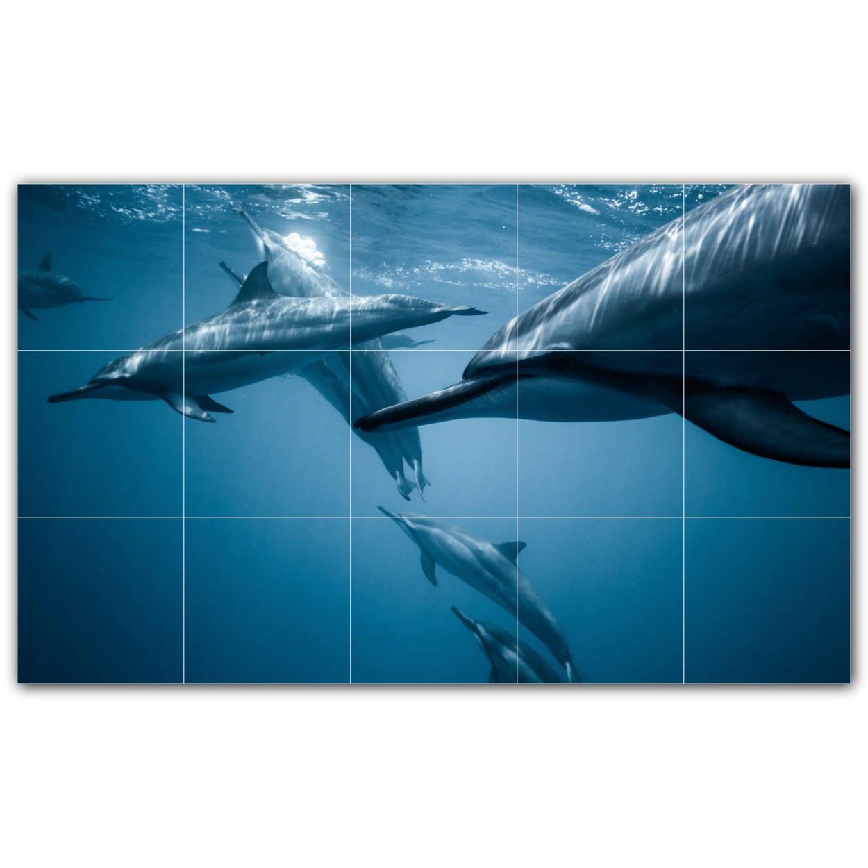 Picture-Tiles.com: Dolphin Ceramic Tile Wall Mural WAL500521-53XL. 60"W ...